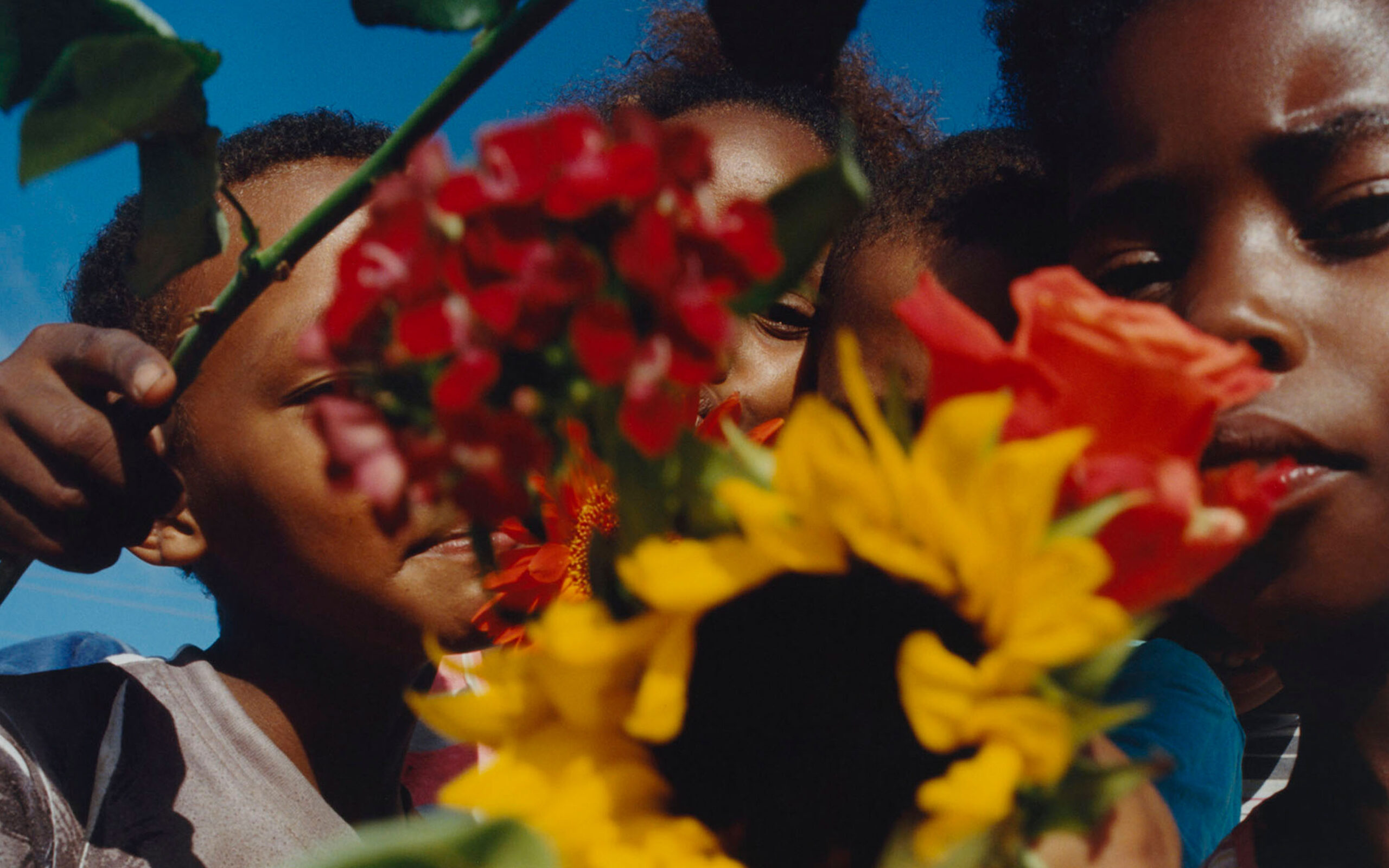 DJA – Creative Direction, Branding & Content